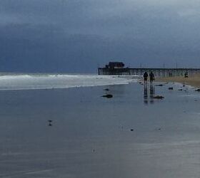 Whatever: Social Distancing Early Adopter | Motorcycle.com