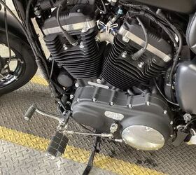 2020 Harley-Davidson XL883N - Sportster Iron 883 For Sale | Motorcycle ...