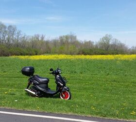 2009 Genuine Scooter Co Buddy Blackjack For Sale | Motorcycle ...