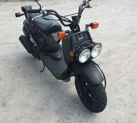 2009 Honda Ruckus For Sale | Motorcycle Classifieds | Motorcycle.com