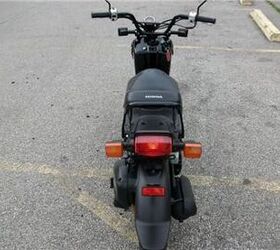 2003 Honda NPS50 For Sale | Motorcycle Classifieds | Motorcycle.com