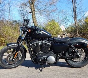 2015 Harley-Davidson XL883N - Sportster Iron 883 For Sale | Motorcycle Classifieds | Motorcycle.com