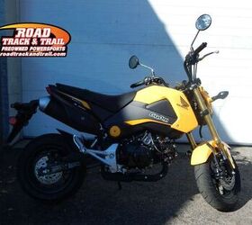 2015 Honda Grom For Sale | Motorcycle Classifieds | Motorcycle.com