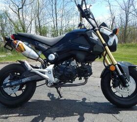 2014 Honda Grom For Sale | Motorcycle Classifieds | Motorcycle.com