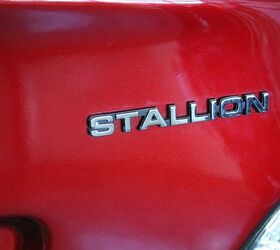 2008 Thoroughbred Stallion For Sale | Motorcycle Classifieds ...