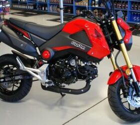 2015 Honda GROM For Sale | Motorcycle Classifieds | Motorcycle.com