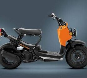 2011 HONDA RUCKUS 50 For Sale | Motorcycle Classifieds | Motorcycle.com