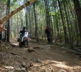 Improve Your Skills and Have the Adventure of a Lifetime at Enduro Park ...
