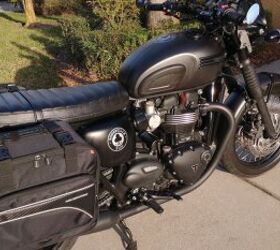 2020 Triumph Triumph Limited Edition "ACE CAFE'" Bonneville T120 For ...