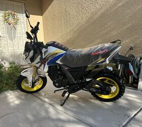 2021 Honda KP MINI 150 For Sale | Motorcycle Classifieds | Motorcycle.com