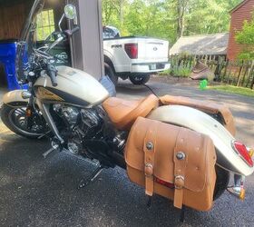 2019 Indian Scout For Sale | Motorcycle Classifieds | Motorcycle.com